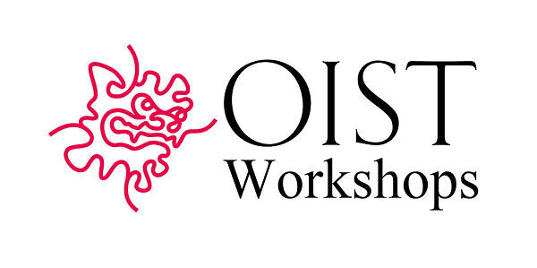 Quantum Reference Frames A Qiss Workshop Oist Groups